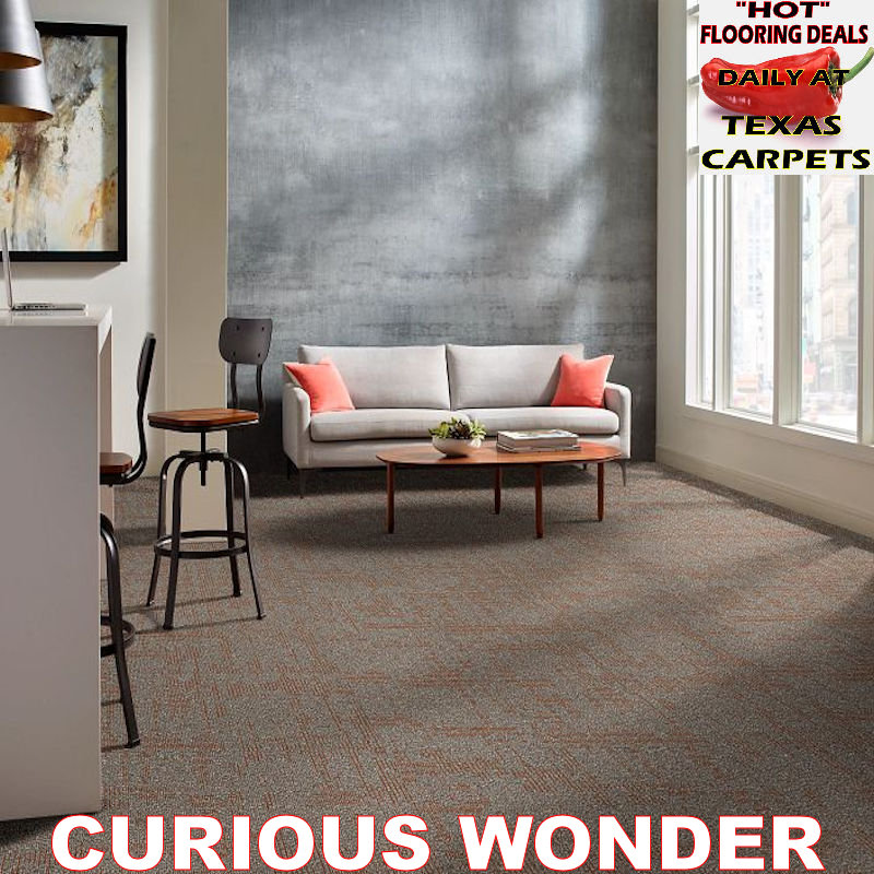 Curious Wonder | Shaw